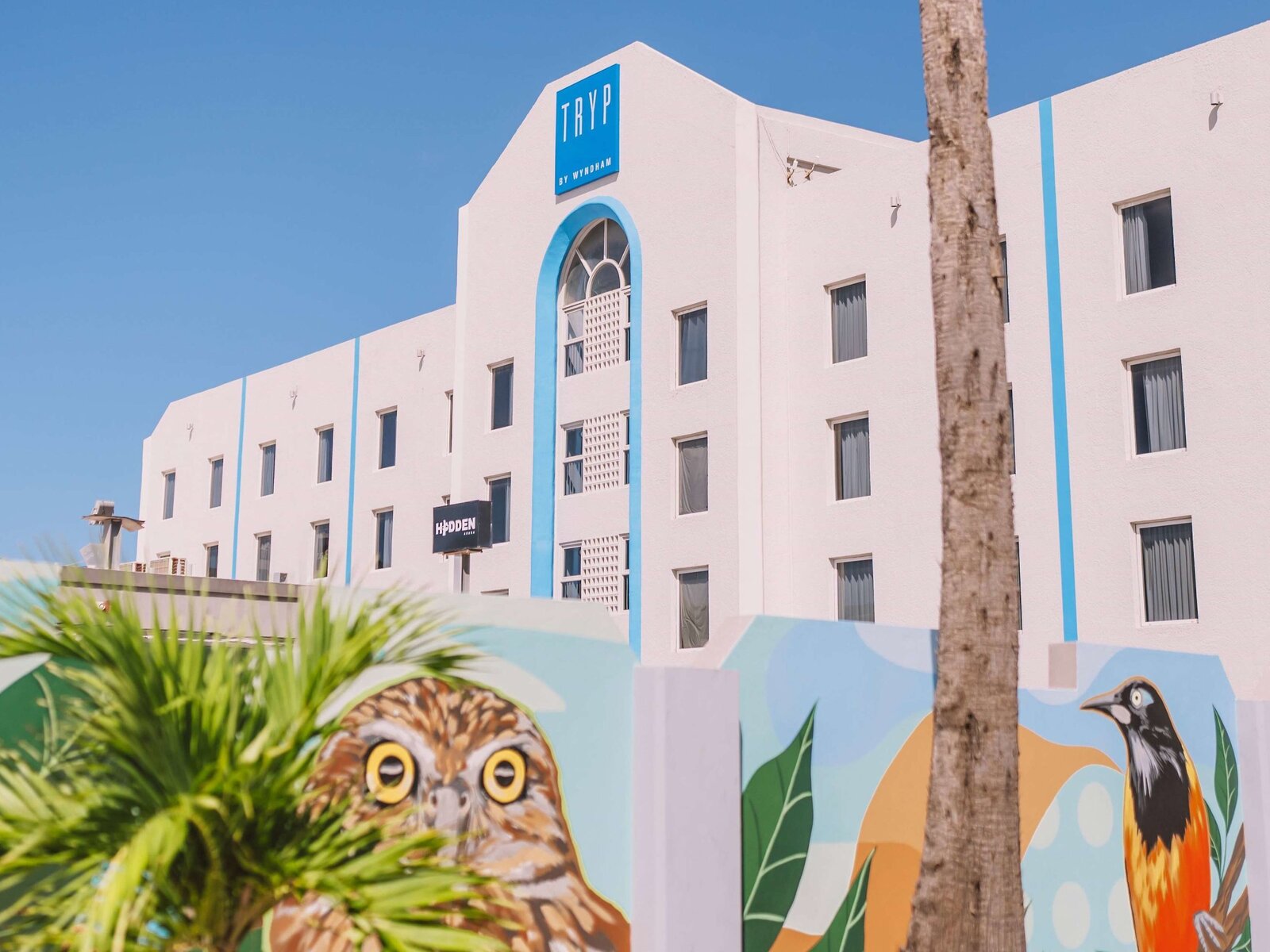 TRYP by Wyndham Aruba Adults Only Hotel » ltur