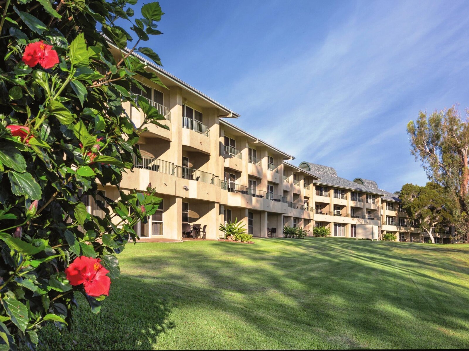 Hotel Paniolo Greens in Waikoloa Village günstig buchen bei TUI.ch