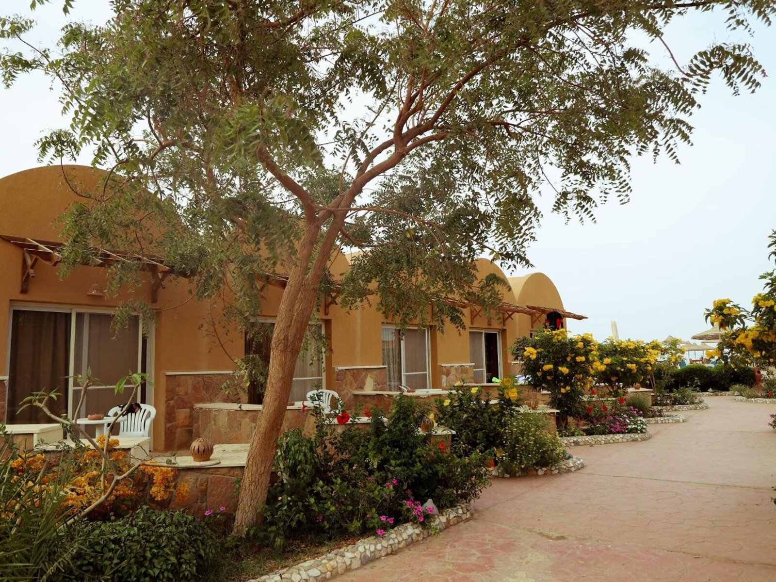 Silver Beach Redsea Resort - El Quseir Urlaub inkl. Flug » ltur