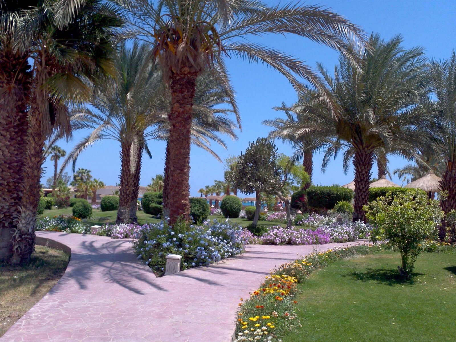 Lotus Bay Beach Resort ★★★ - Safaga Urlaub inkl. Flug » ltur
