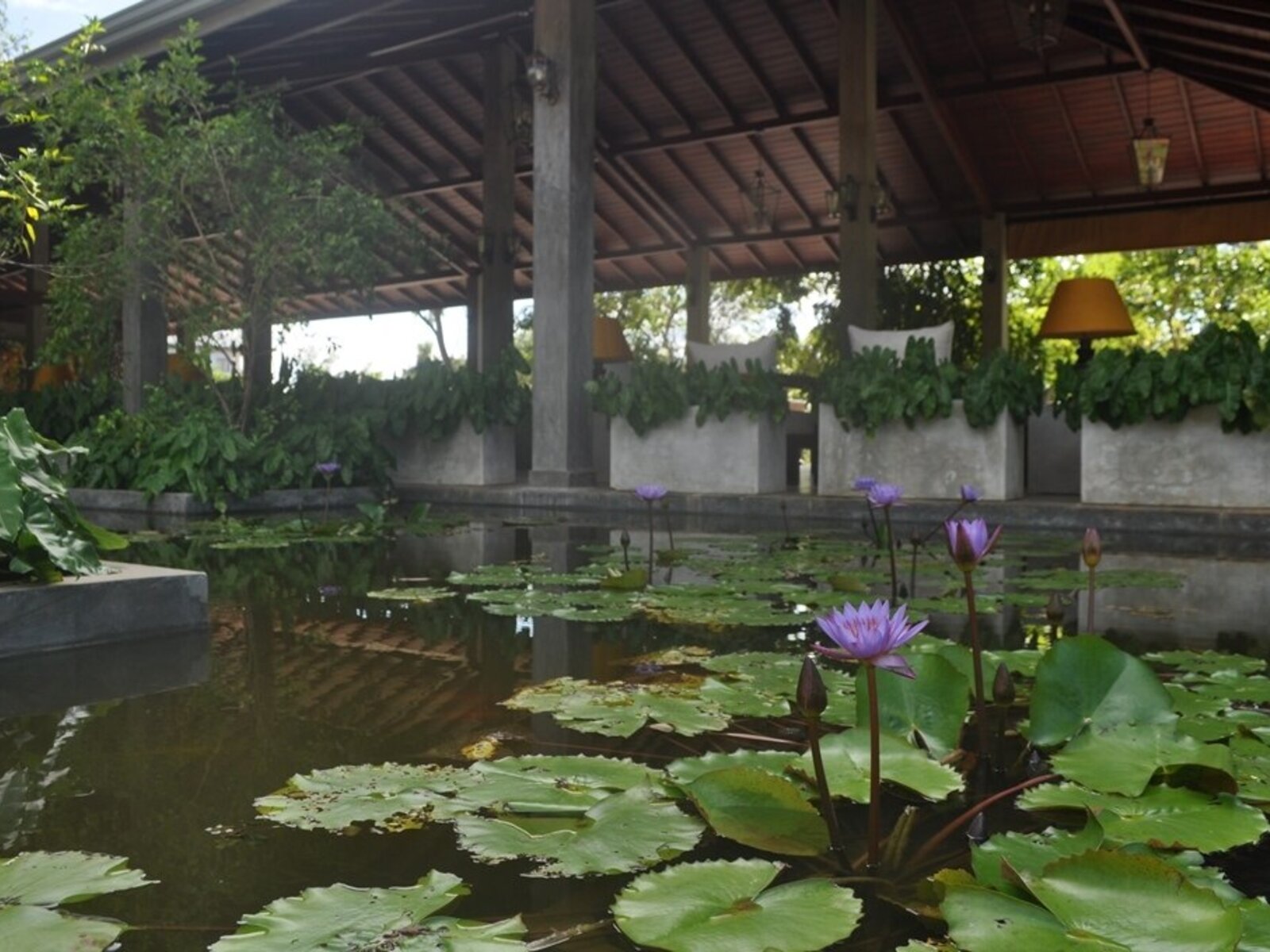 Amaara Forest Hotel Sigiriya séjour avec vol inclus » ltur