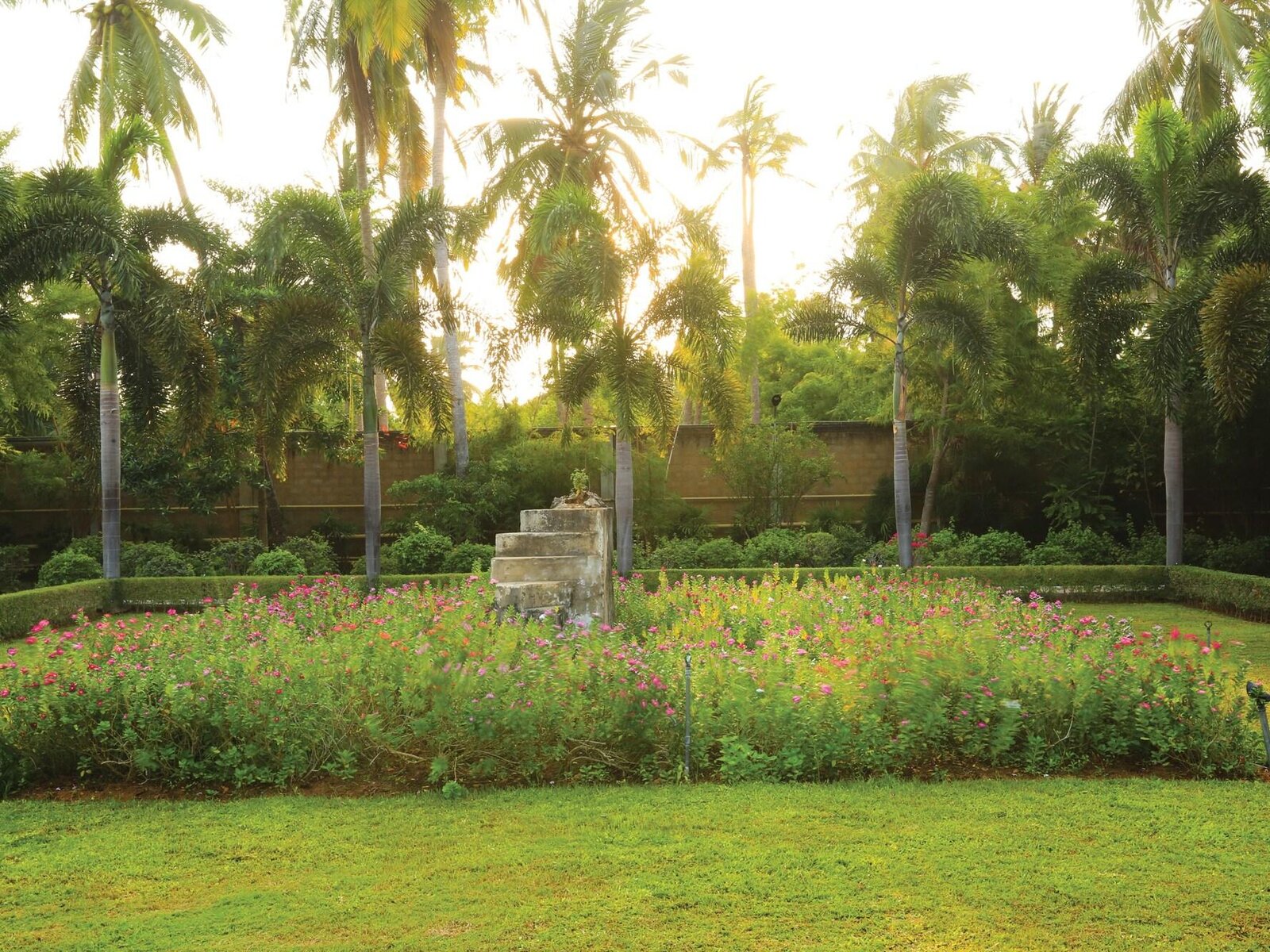 Fox Resorts Jaffna ★★★ - Jaffna Urlaub inkl. Flug » ltur
