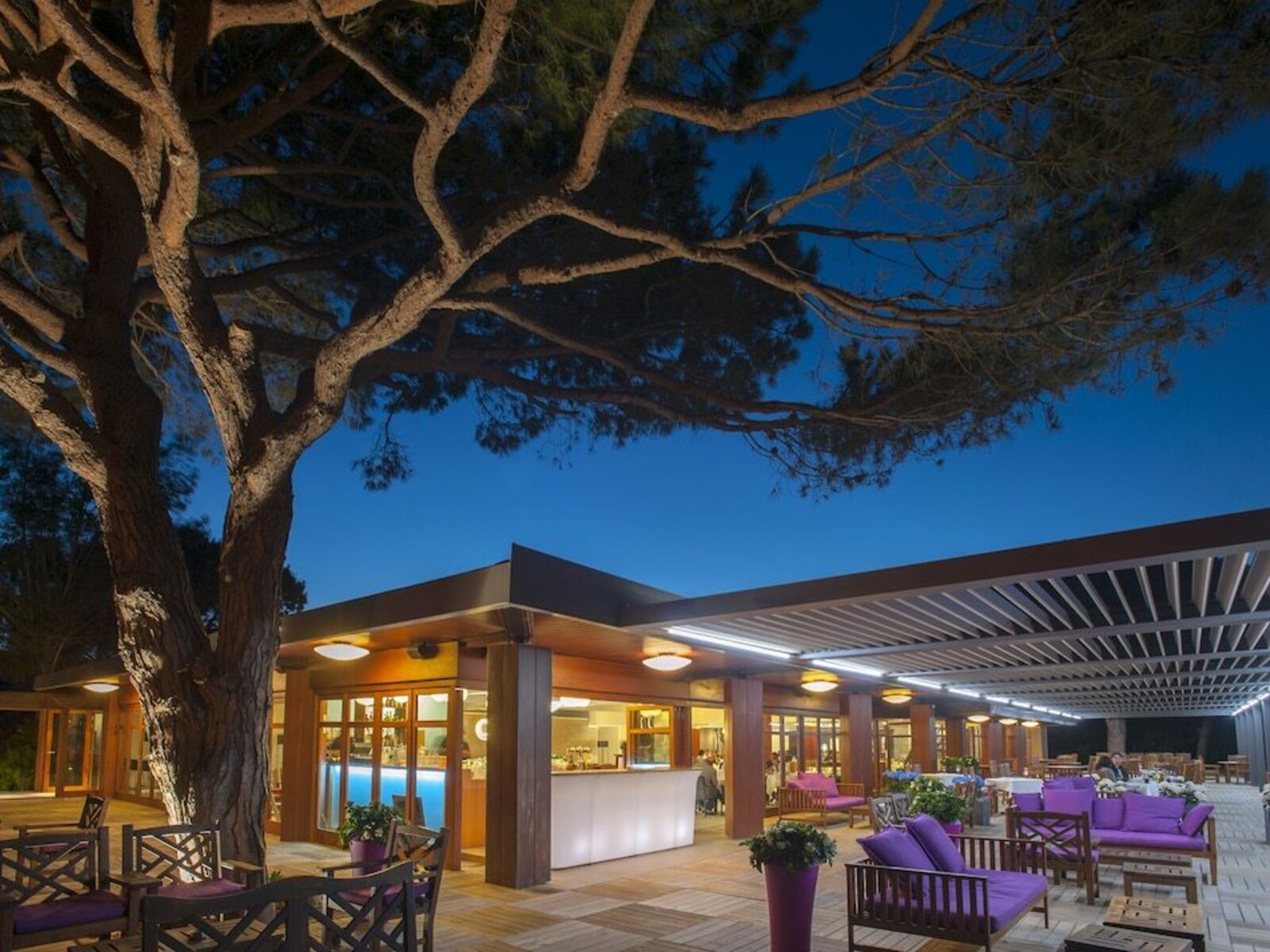 Hotel Hotel Lodges Moby Dick in Porto Vecchio günstig buchen bei TUI.com