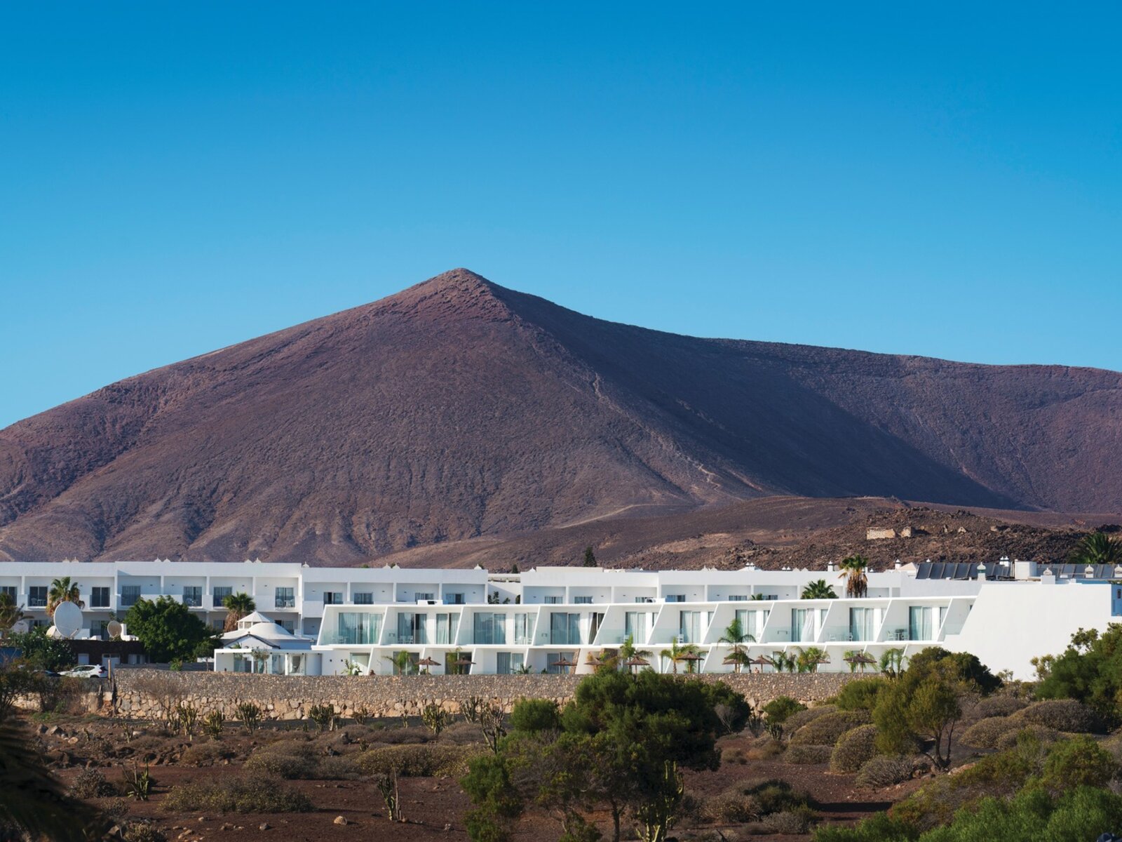 Hotel TUI SUNEO Ficus in Costa Teguise günstig buchen bei TUI.com