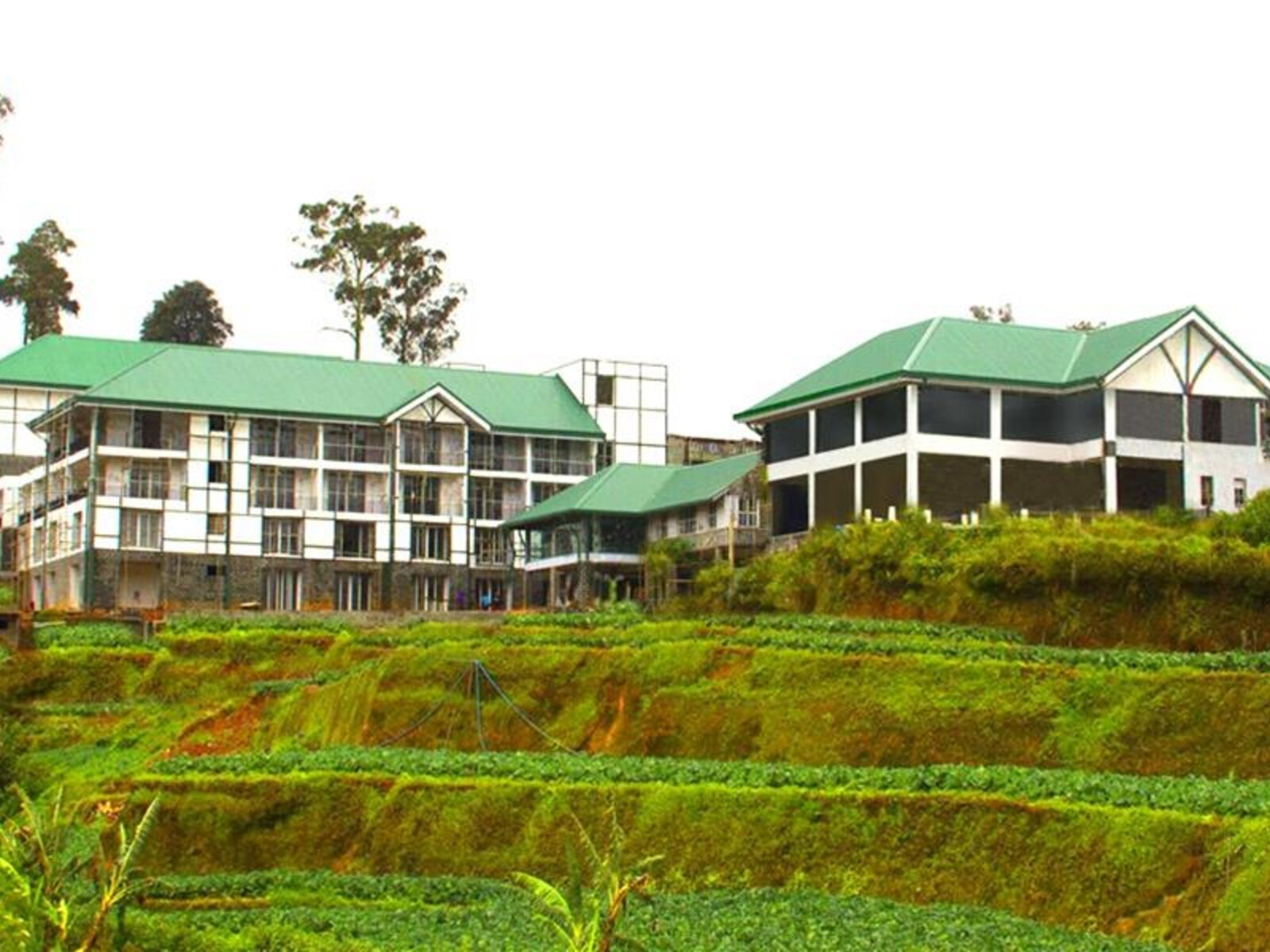 The Blackpool Hotel - Nuwara Eliya Urlaub inkl. Flug » ltur