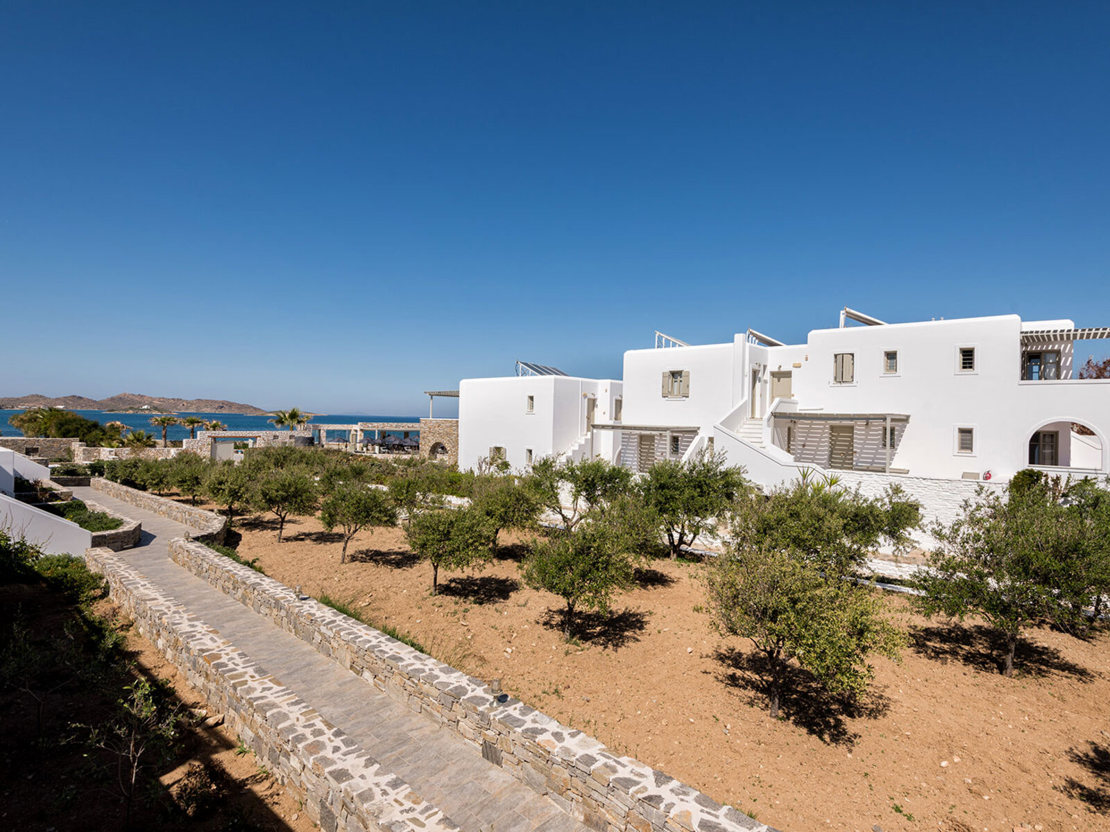 Saint Andrea Paros Seaside Resort Urlaub inkl. Flug » ltur
