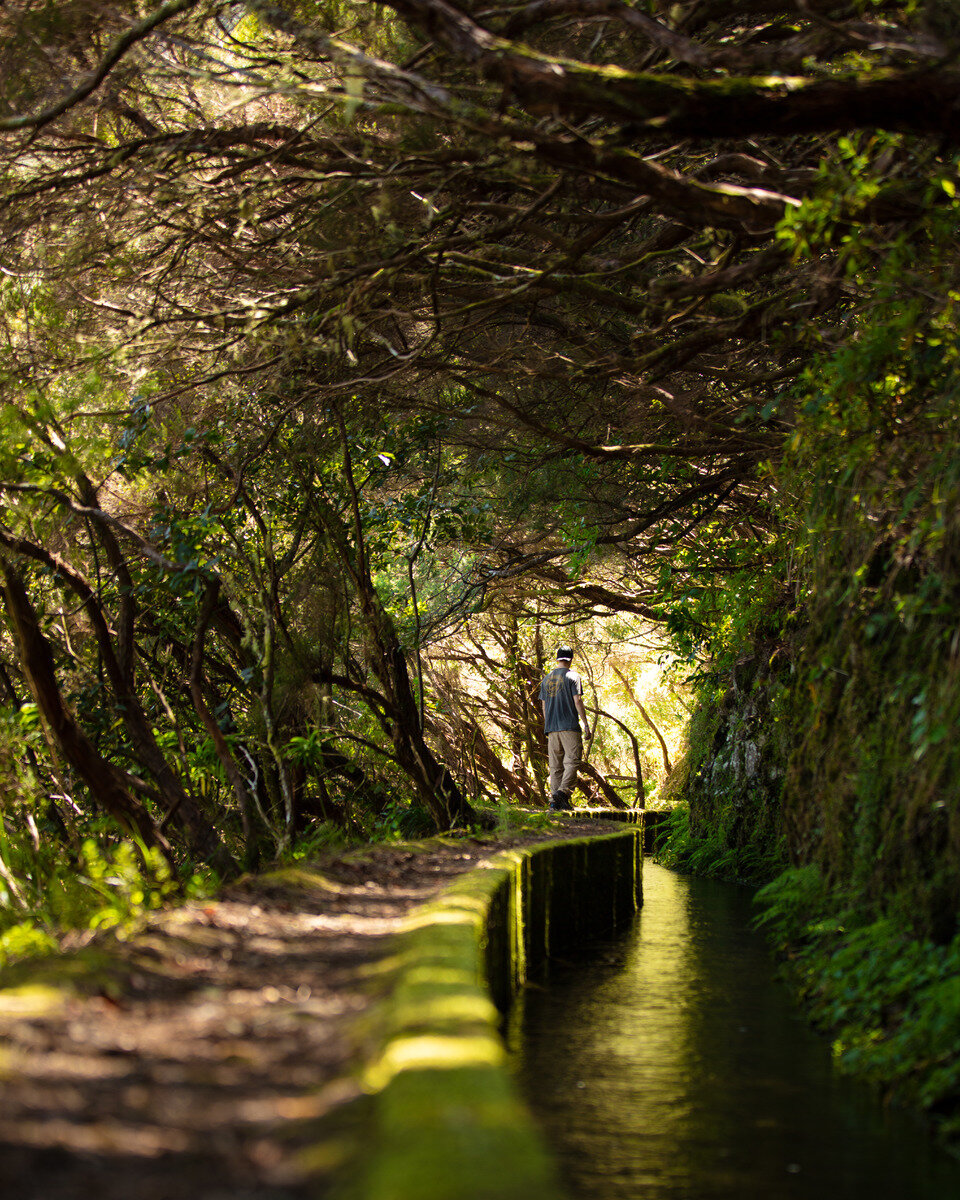Hotel Rundreise Wandern: ASI - Madeira der Levada Trek individuell in ...