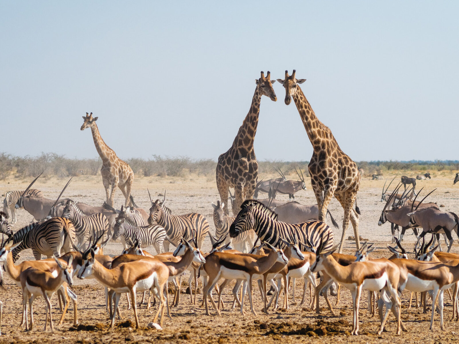 Hotel Rundreise Delta & Chobe Trail Botswana in der Kleingruppe in ...