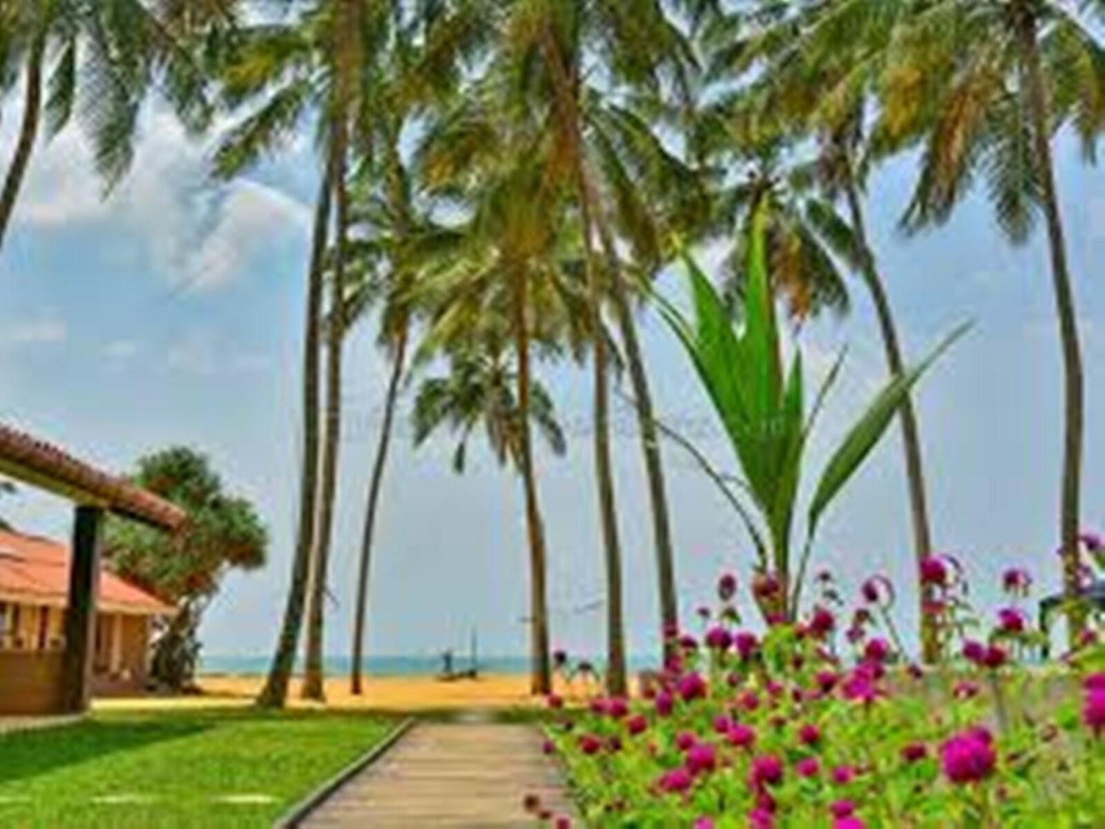 Hotel Hotel Amagi Beach in Marawila günstig buchen bei TUI.com