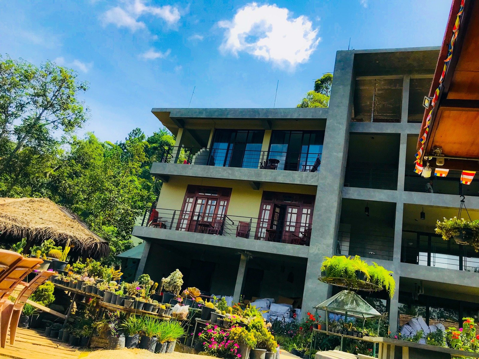 Ella Flower Garden Resort ★★★ - Ella Urlaub inkl. Flug » ltur