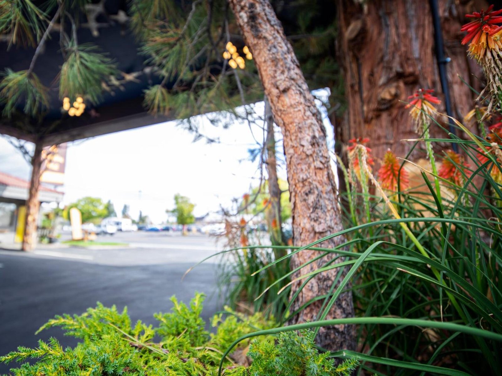 Hotel Campfire Hotel in Bend günstig buchen bei TUI.com