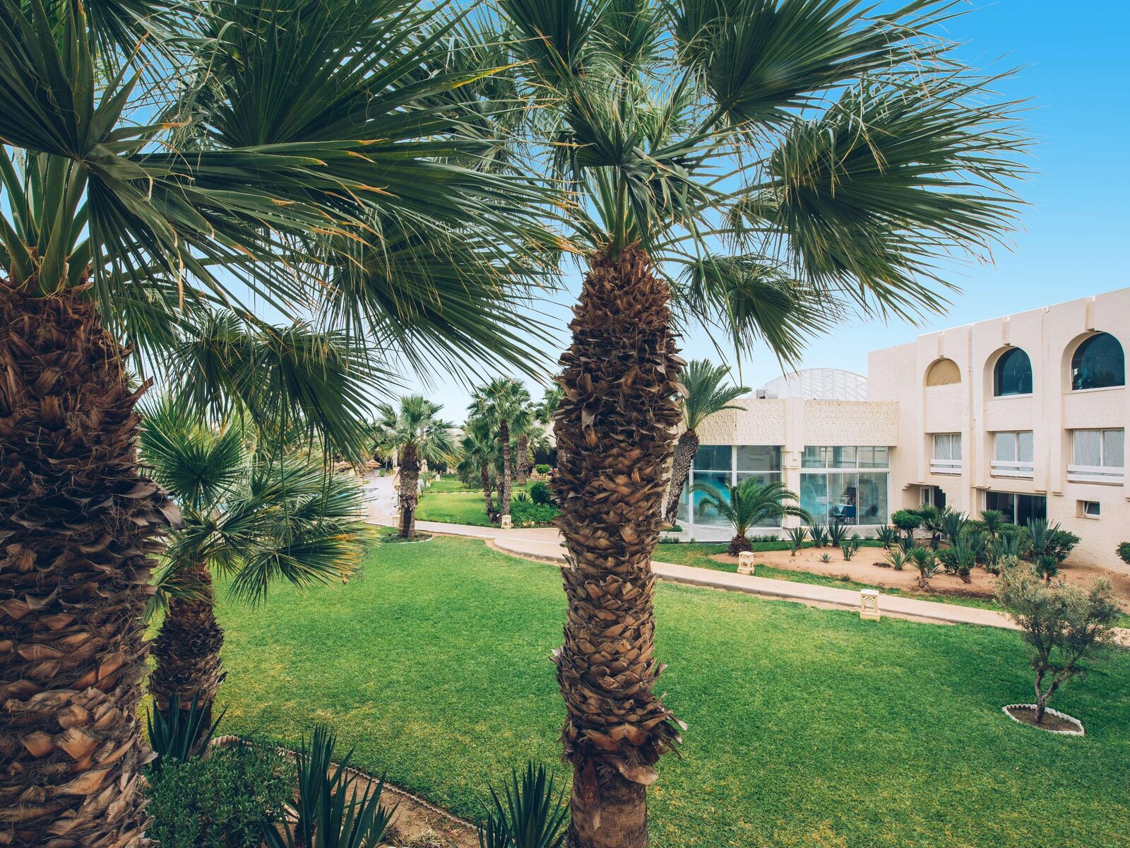 Hotel Iberostar Waves Mehari Djerba in Midoun günstig buchen bei TUI.ch