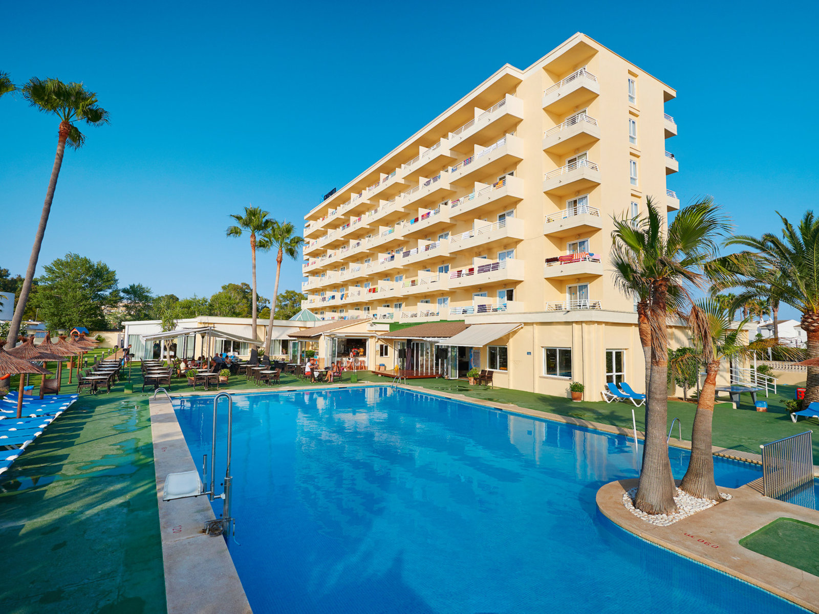 Hotel Grupotel Amapola in Bucht von Alcudia günstig buchen bei TUI.at